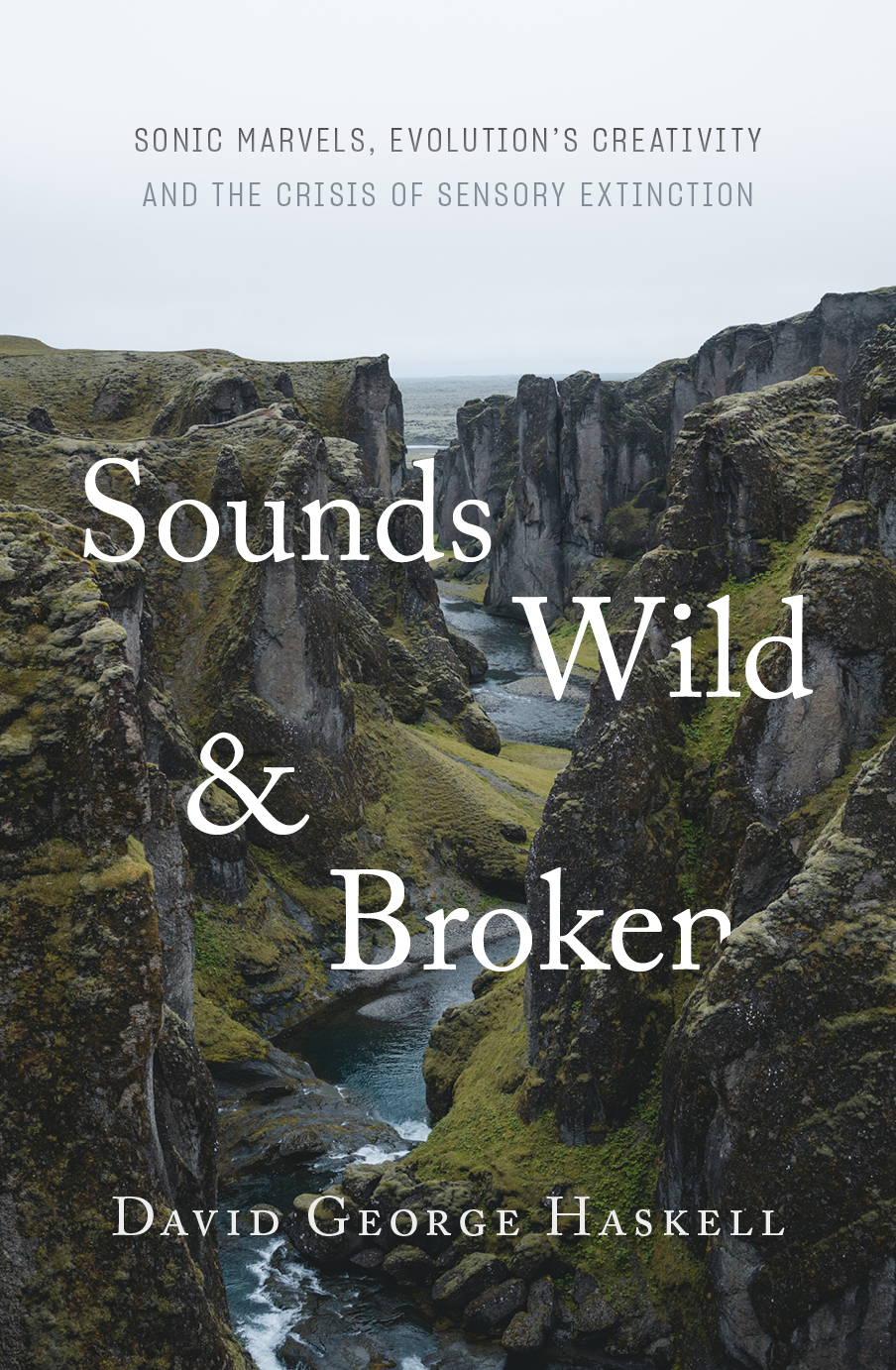 Sounds Wild and Broken by David George Haskell | Black Inc.