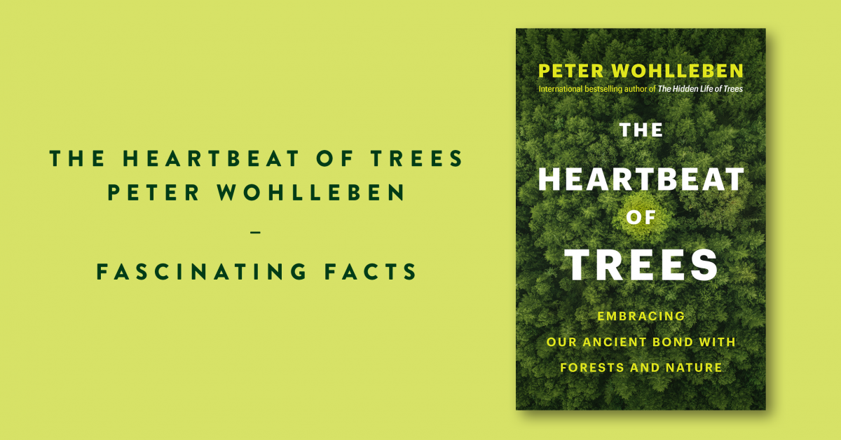 7 things we learnt from The Heartbeat of Trees | Black Inc.