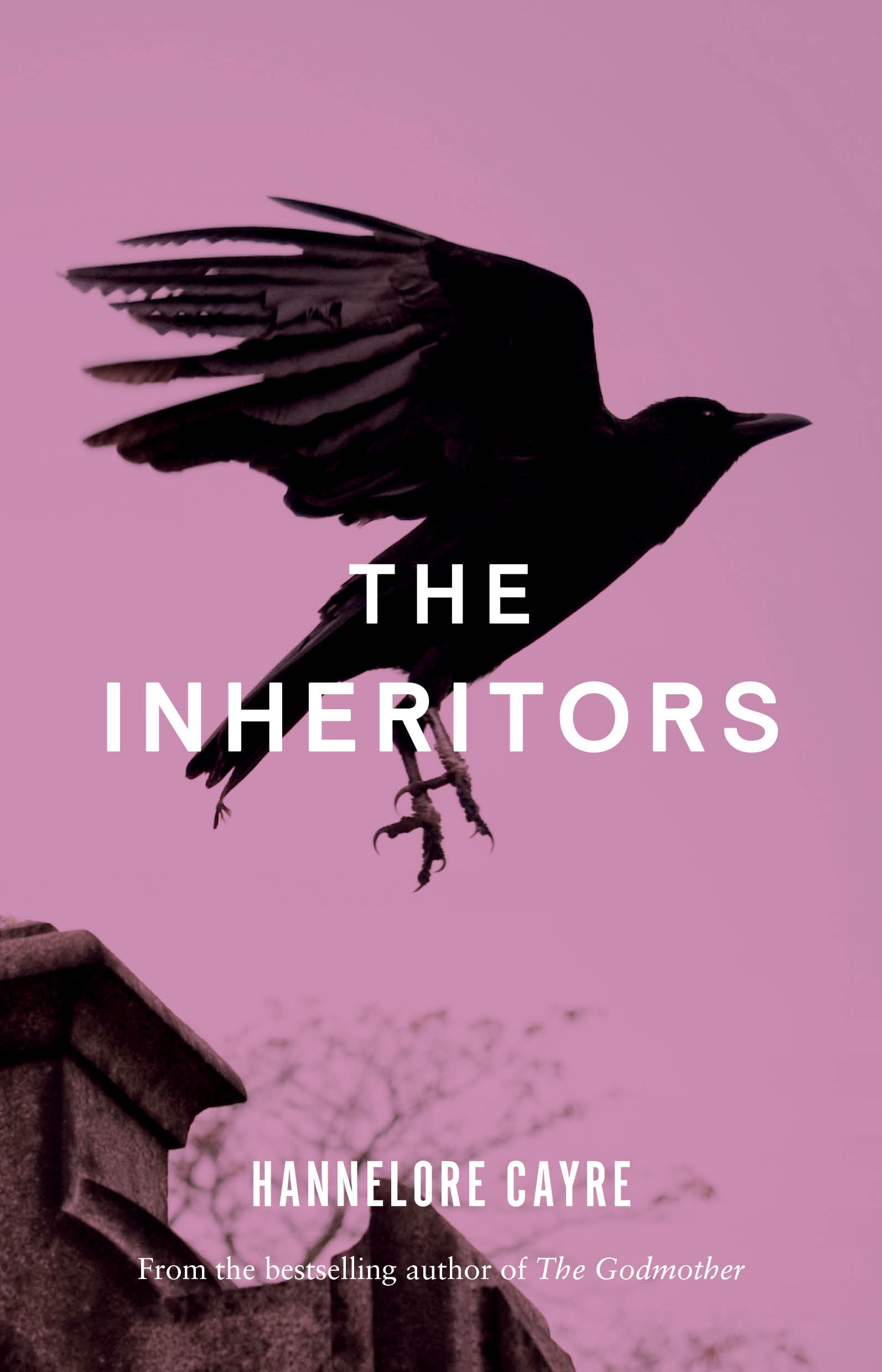 The Inheritors by Hannelore Cayre, Stephanie Smee | Black Inc.