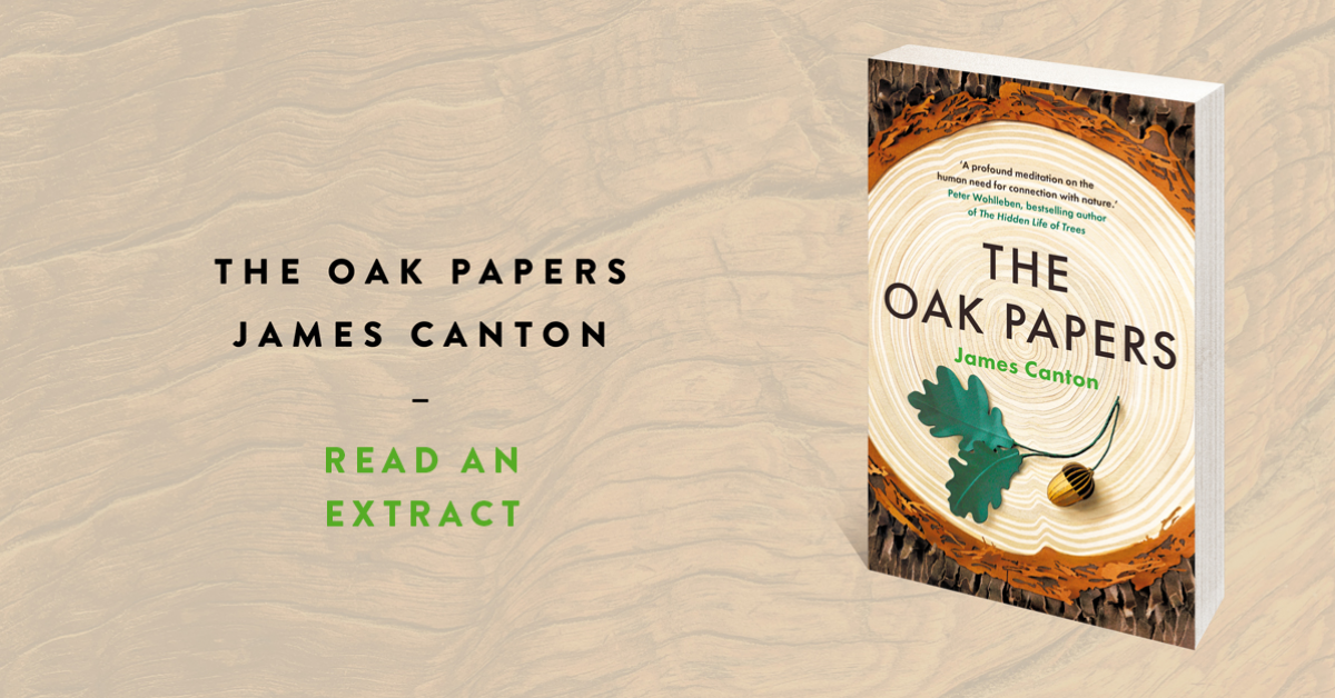 Read an extract: The Oak Papers | Black Inc.